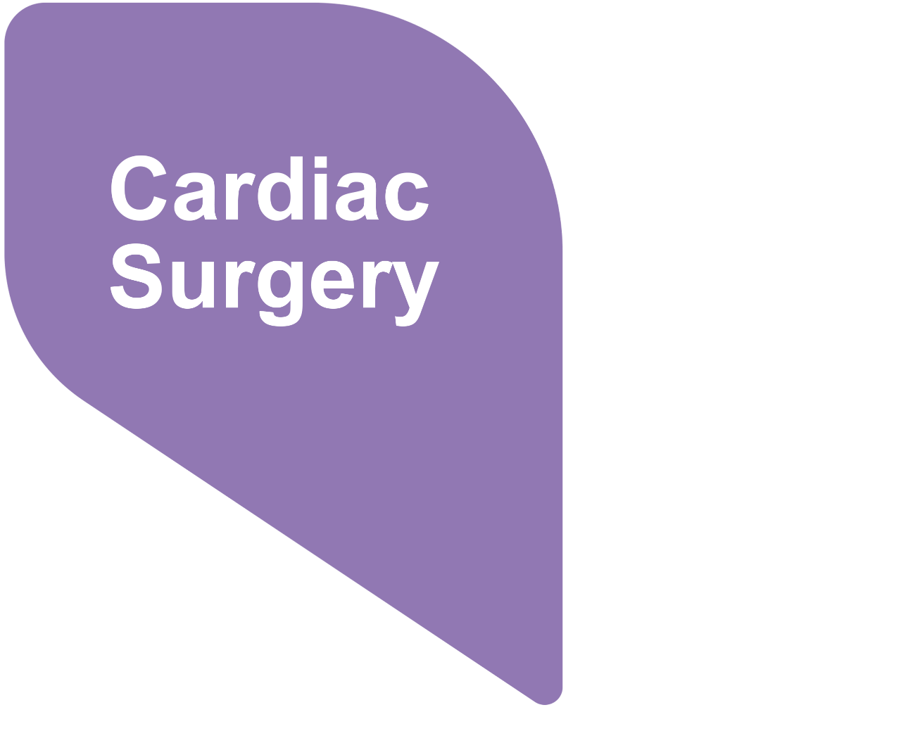 Cardiac Surgery