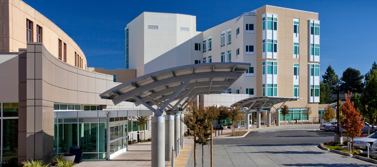 Aortic Valve Repair Program